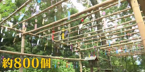 三次市の鷺神社に800個 色とりどりの風鈴が涼しい音色（広島ニュースTSS）｜dメニューニュース（NTTドコモ）